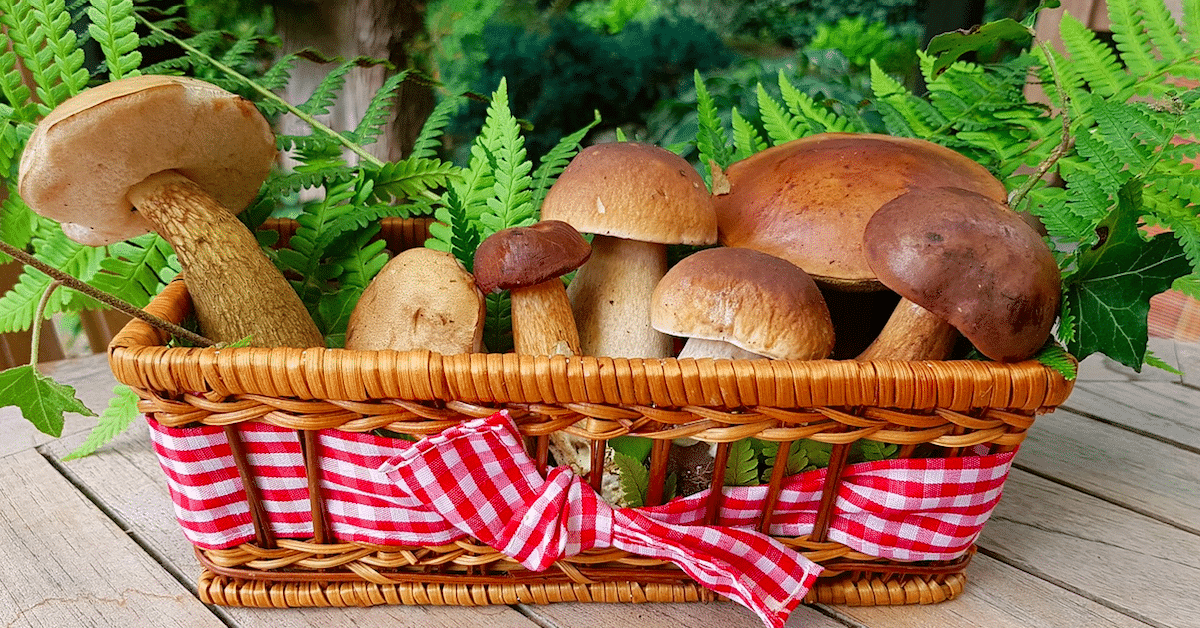 D-vitamiinin puutos on yleinen vaiva - näitä ruokia kannattaa syödä ...