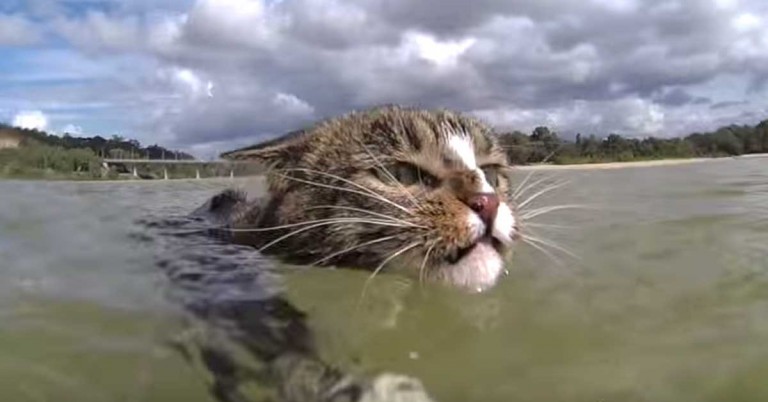 Kinkku-juustotaskut – helppo ja maukas aamiainen - Kohokohta.com